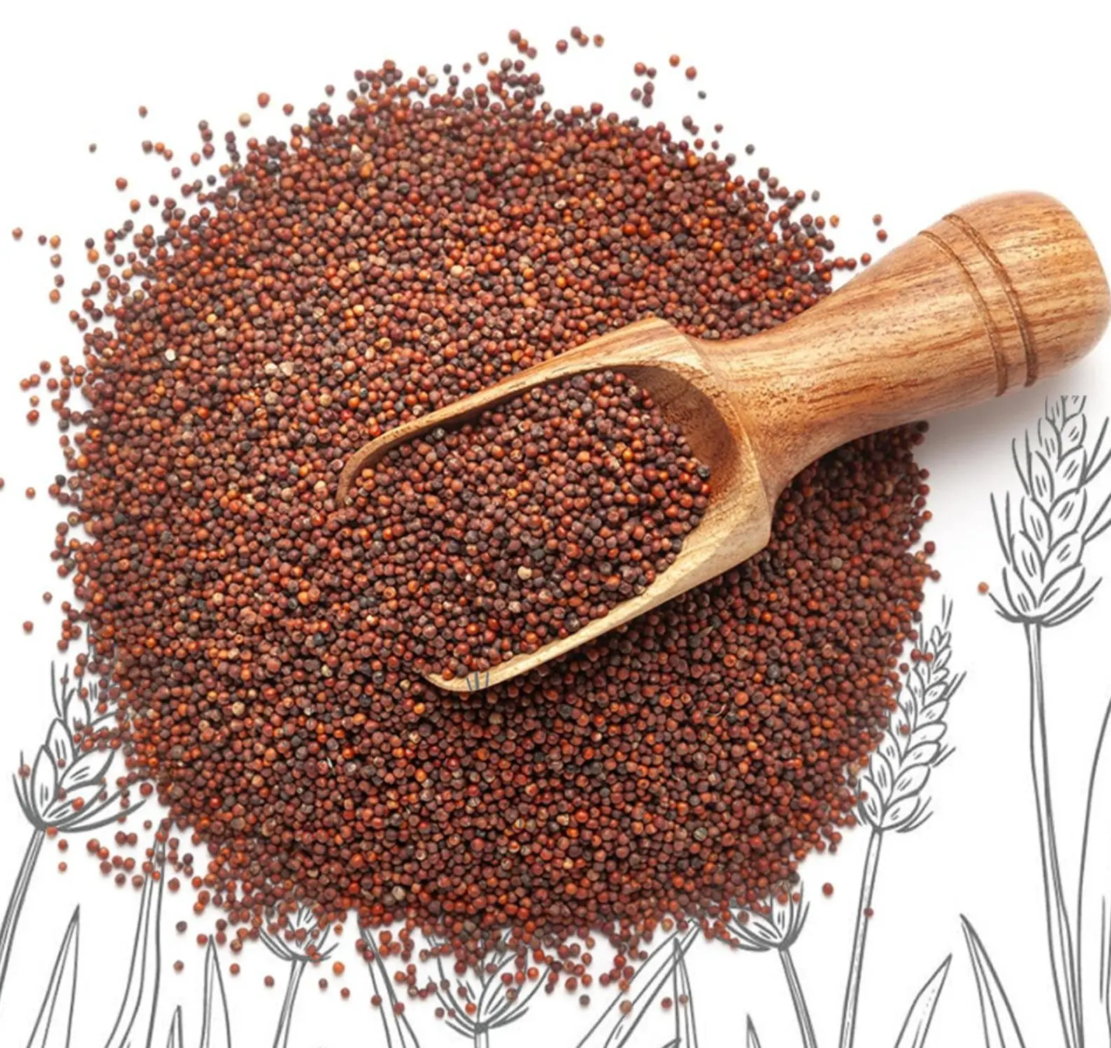 PATTU RAGI (MILLET) 500G - Premium Butchery SG